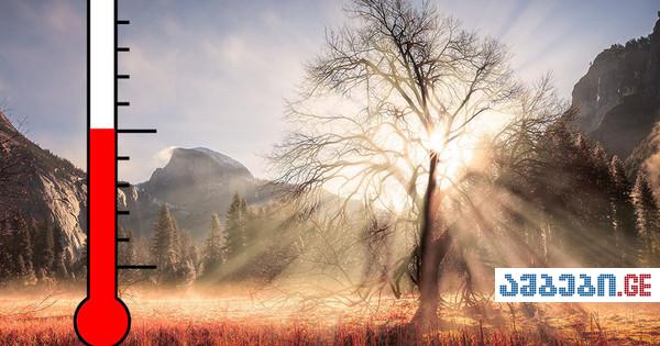 მე-6 ყველაზე თბილი თებერვალი 1960 წლის შემდეგ - რა ინფორმაციას ...