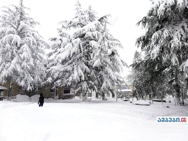 ფოტოები აჭარის მაღალმთიანეთიდან, სადაც დიდთოვლობის გამო სწავლა შეწყდა ...