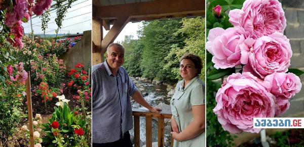 დევნილი წყვილის ევროპული წალკოტი წეროვანში - "თითო ვარდს წლობით ველოდით ...