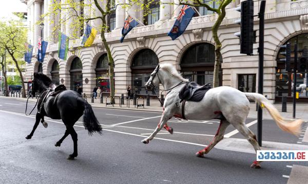 ლონდონში სამხედრო ცხენები გაექცათ - ქაოსი ქუჩებში, დაშავებული ...