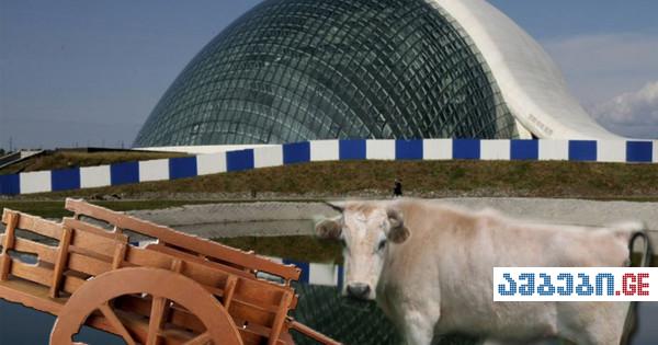 ქართული პარ­ლა­მენ­ტის უც­ნა­უ­რი კანონები მუხ­რუ­ჭე­ბი­ან ურემსა და პი ...