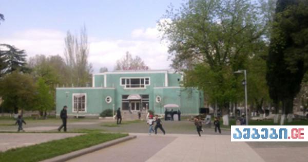 მთავრობა დედაენის ბაღს ჰყიდის | Ambebi.GE