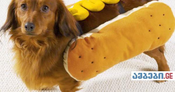 დღეს აშშ-ში ჰოთ-დოგის დღე აღინიშნება | Ambebi.GE