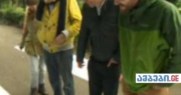 ჩიტის სკლინტით დაწერილი მუსიკა | Ambebi.GE