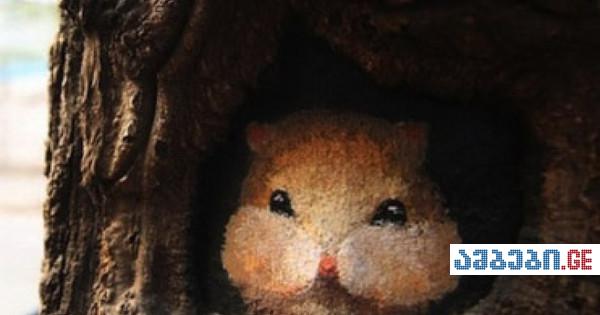 ჩინელი მხატვარი ხეებზე ხატავს | Ambebi.GE