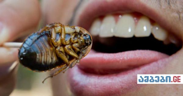 ბრიტანეთის ტარაკნებით სავსე ციხეში პატიმრებმა მათი ჭამა დაიწყეს | Ambebi.GE