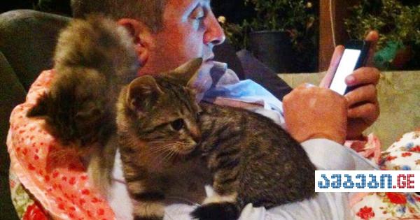 გიორგი მარგველაშვილი მხარზე კნუტებით... | Ambebi.GE