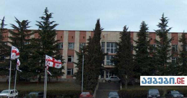 დედოფლისწყაროში საჯარო მოხელეებზე საახალწლოდ 89 410 ლარი პრემია გაიცა ...