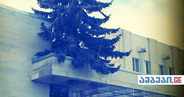 როგორი ნაძვის ხით ხვდება ახალ წელს საქართველოს სხვადასხვა ქალაქი ...