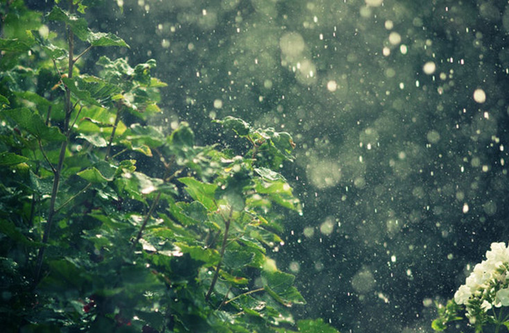 მთავარი | Ambebi.Ge