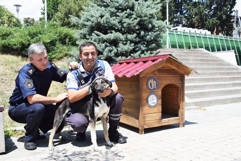 პოლიციის სამმართველოს ეზოში მიუსაფარ ძაღლს ხის სახლი დაუდგეს (ფოტოები ...