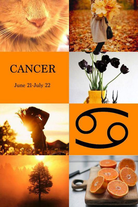 ნოემბრის ასტროლოგიური პროგნოზი მამაკაცი და ქალი კირჩხიბებისთვის | Ambebi.GE